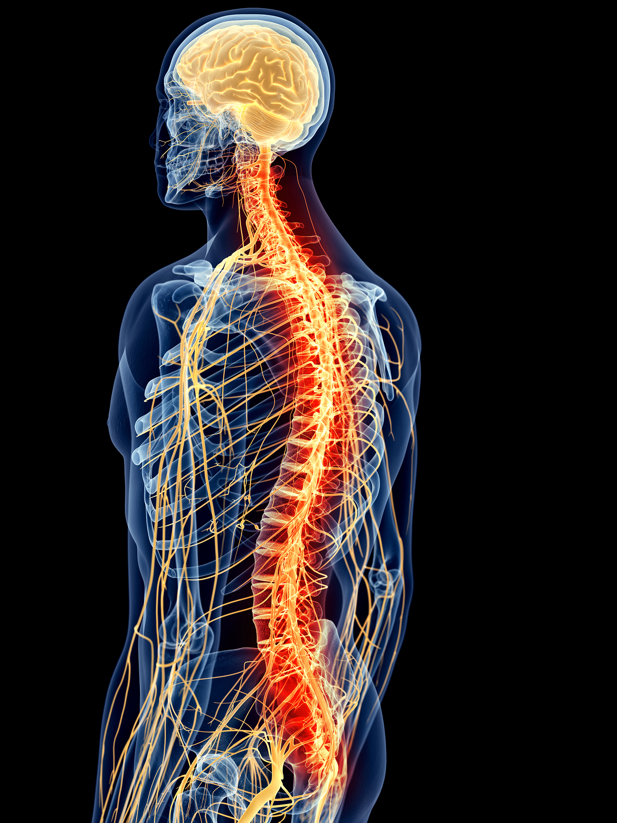 Neurodiagnostic Scan For Best Chiropractic Care In Longmont